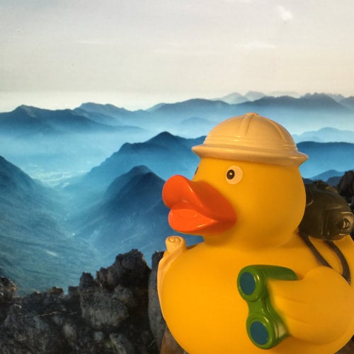 Buy Explorer Rubber Duck | Spread Joy | Essex Duck™ | Essex Duck